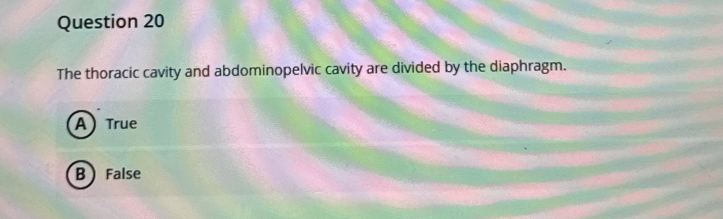 Solved Question 20The thoracic cavity and abdominopelvic | Chegg.com