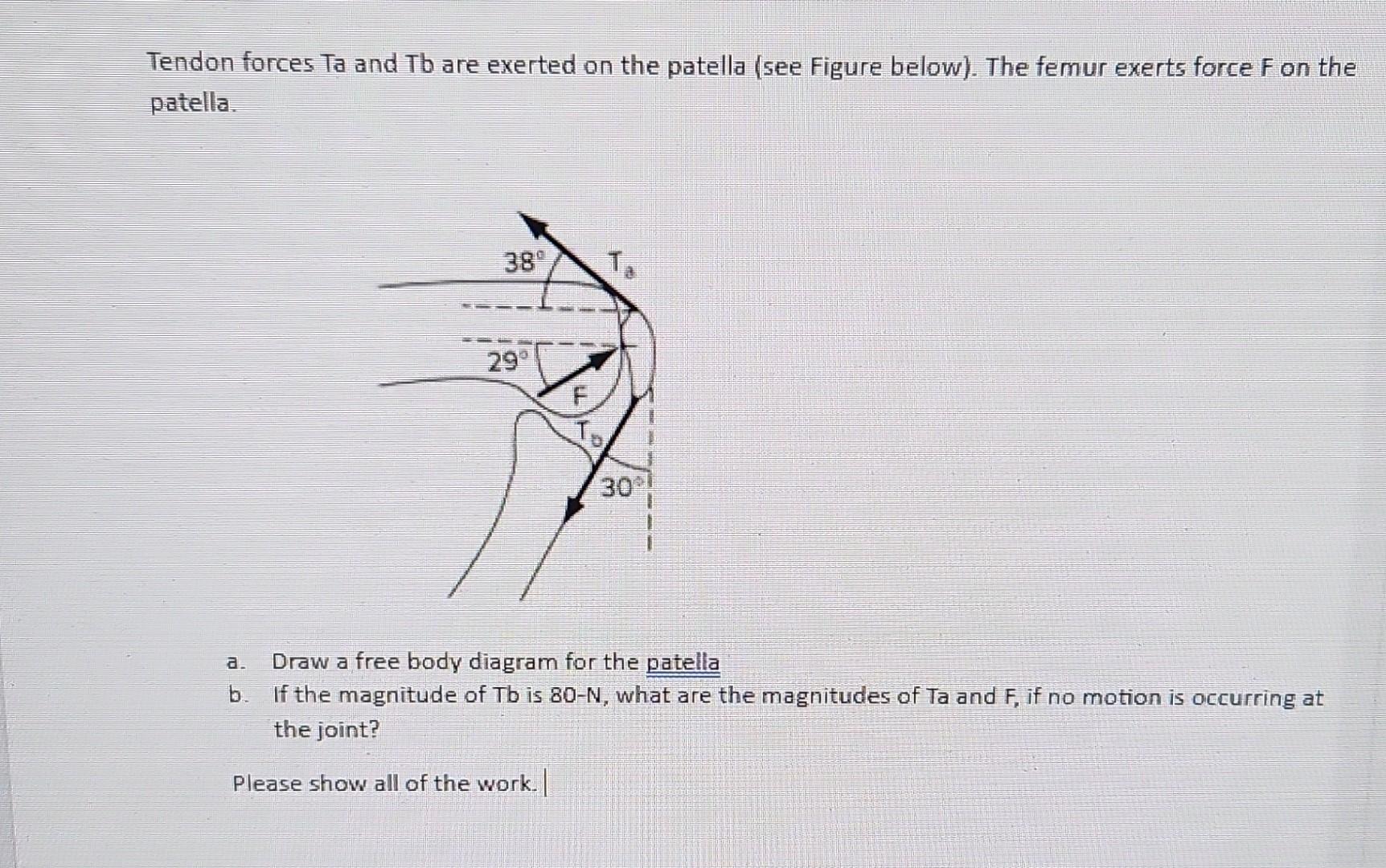 Solved Tendon forces Ta and Tb are exerted on the patella | Chegg.com