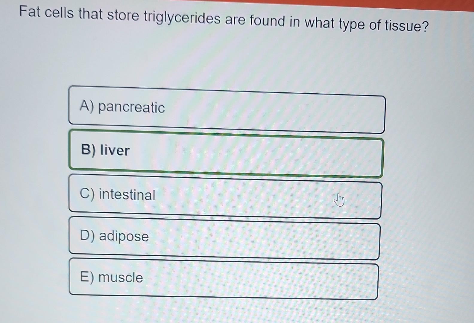 Solved Fat cells that store triglycerides are found in what | Chegg.com