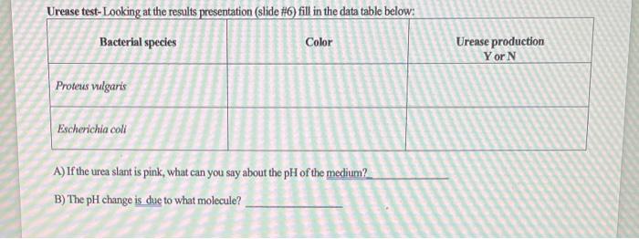 Solved Urease test-Looking at the resulis presentation | Chegg.com