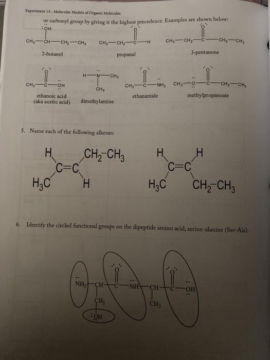 Solved Make models of ethane, ethene (ethylene), and the | Chegg.com