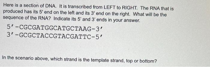 Solved Here is a section of DNA. It is transcribed from LEFT | Chegg.com