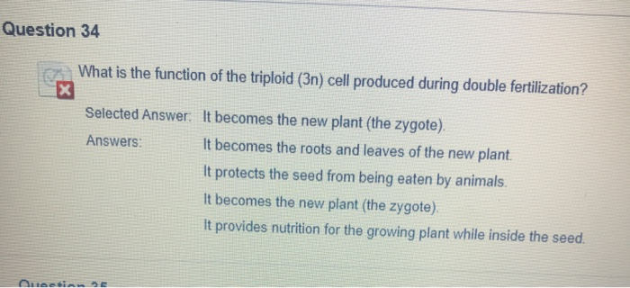 Solved Question 34 What is the function of the triploid (3n) | Chegg.com