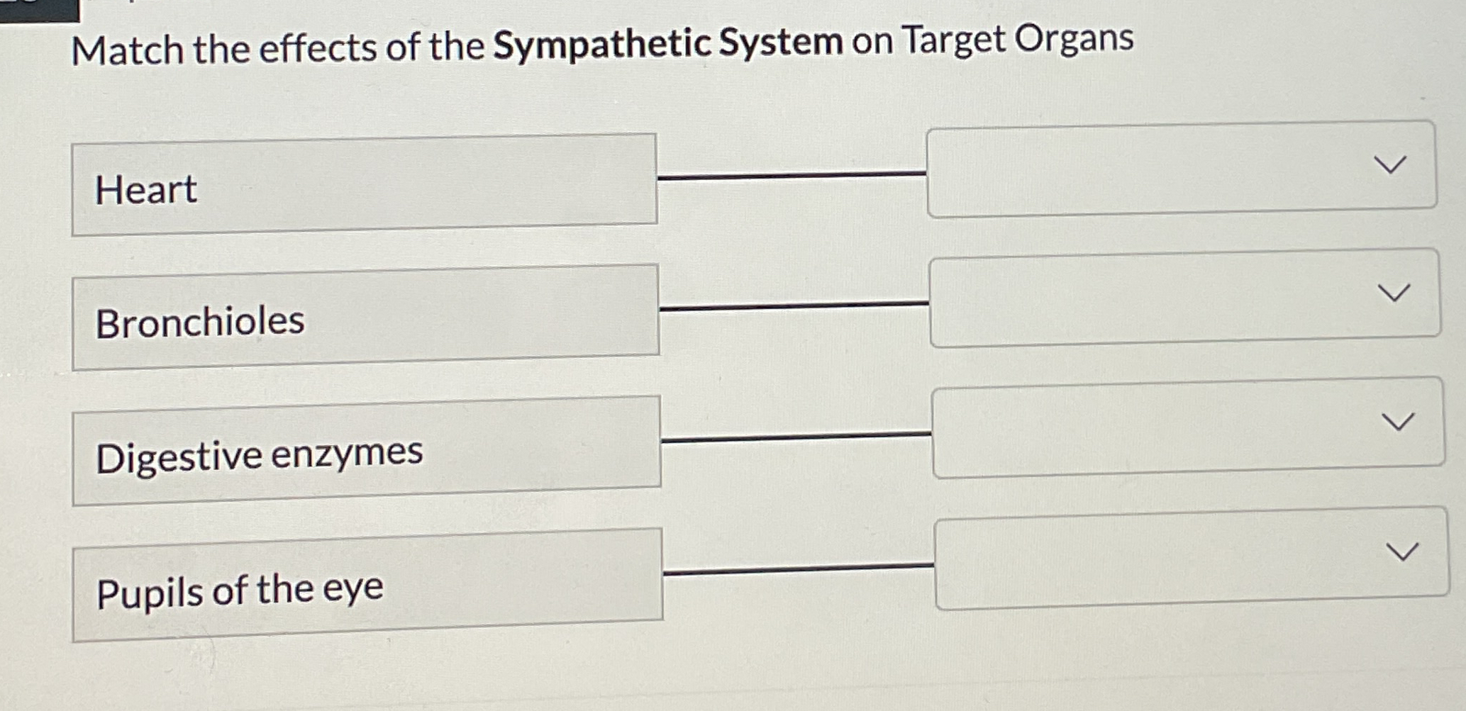 Solved Match the effects of the Sympathetic System on Target | Chegg.com