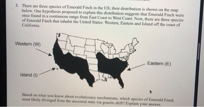 Solved 3. There are three species of Emerald Finch in the | Chegg.com