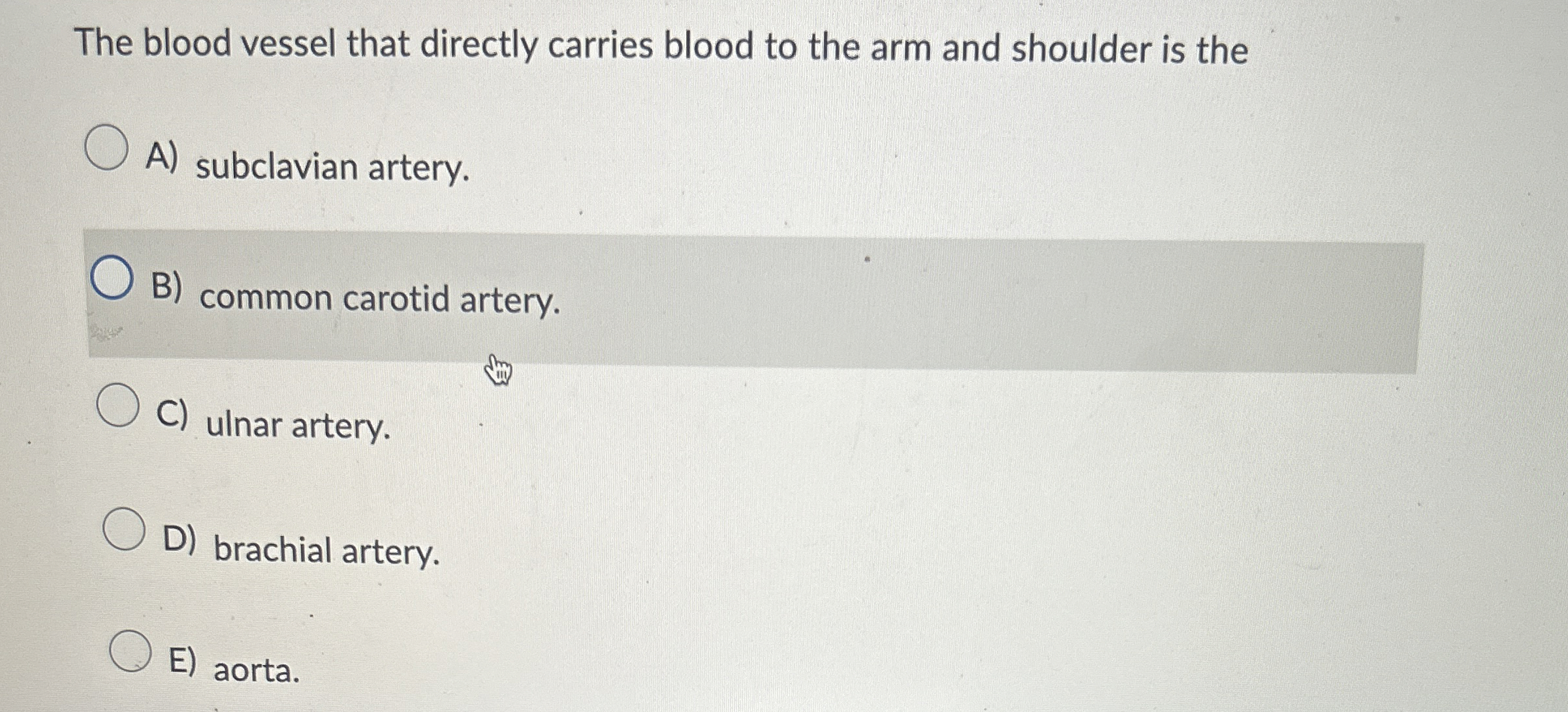 Solved The blood vessel that directly carries blood to the | Chegg.com