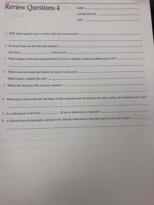 Solved Review Questions 4 Name Lab Section No Date 1 With 7490