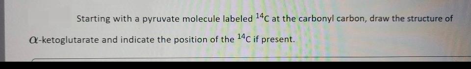 Solved Starting with a pyruvate molecule labeled 14c at the | Chegg.com