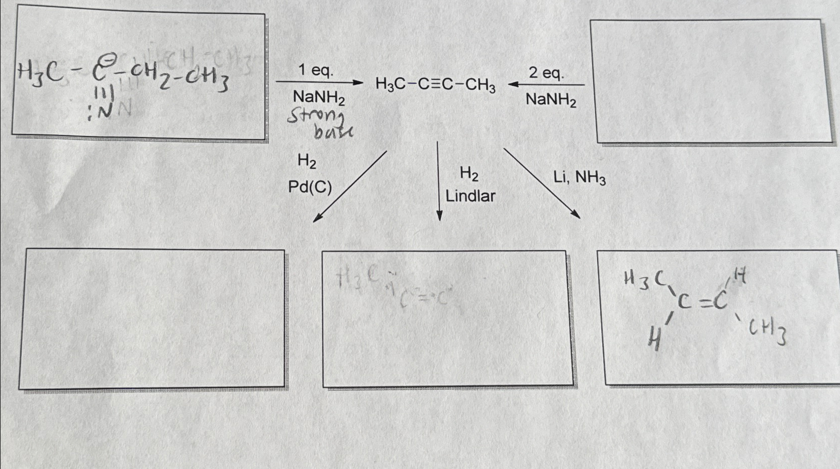 Solved Help please! You have to use the equation provided | Chegg.com