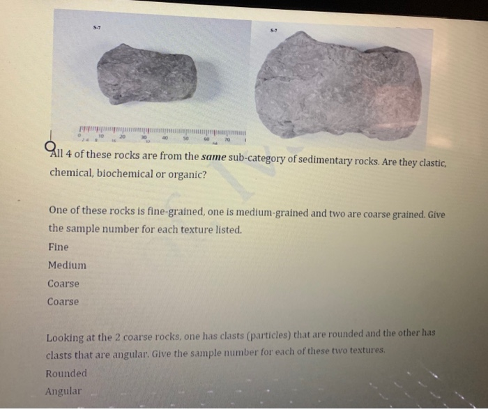 Solved Part 2 Sedimentary Rocks Examine the photographs of | Chegg.com