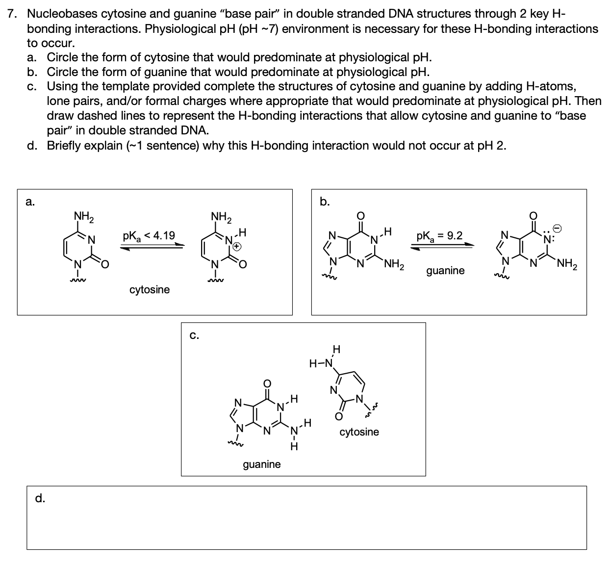 7 ﻿nucleobases Cytosine And Guanine Base Pair In