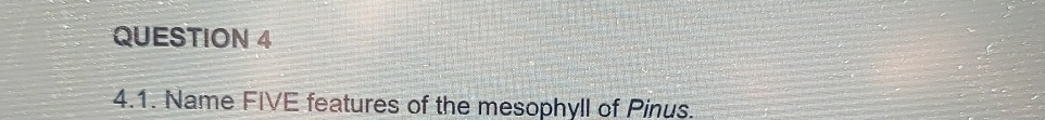 Solved QUESTION 44.1. ﻿Name FIVE features of the mesophyll | Chegg.com