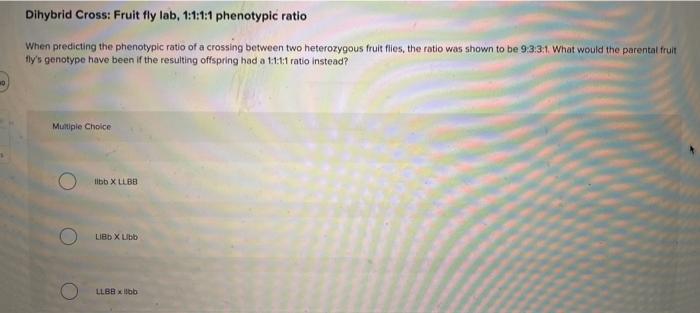 Solved Dihybrid Cross: Fruit fly lab, 1:1:1:1 phenotypic | Chegg.com