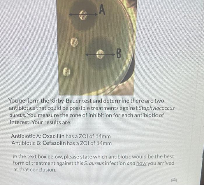 Solved You perform the Kirby-Bauer test and determine there | Chegg.com