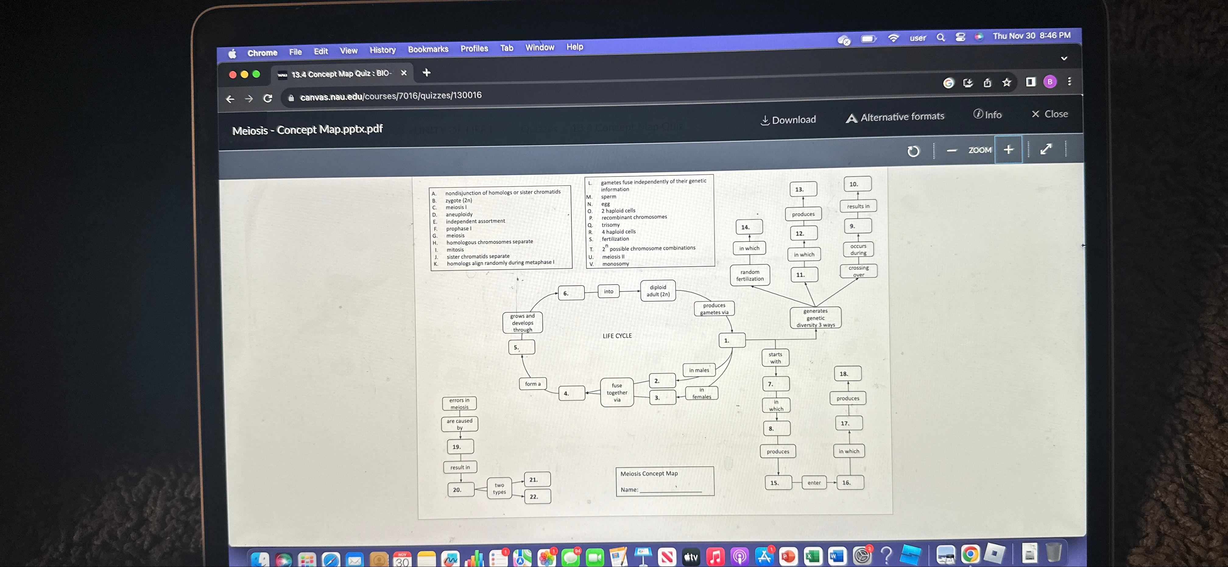 Solved Meiosis concept map | Chegg.com
