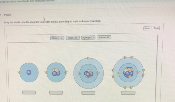 Solved only the atoms according to their molecular structure | Chegg.com