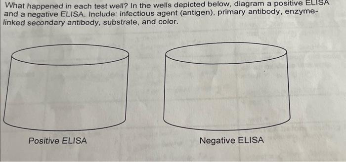 Solved What happened in each test well? In the wells | Chegg.com