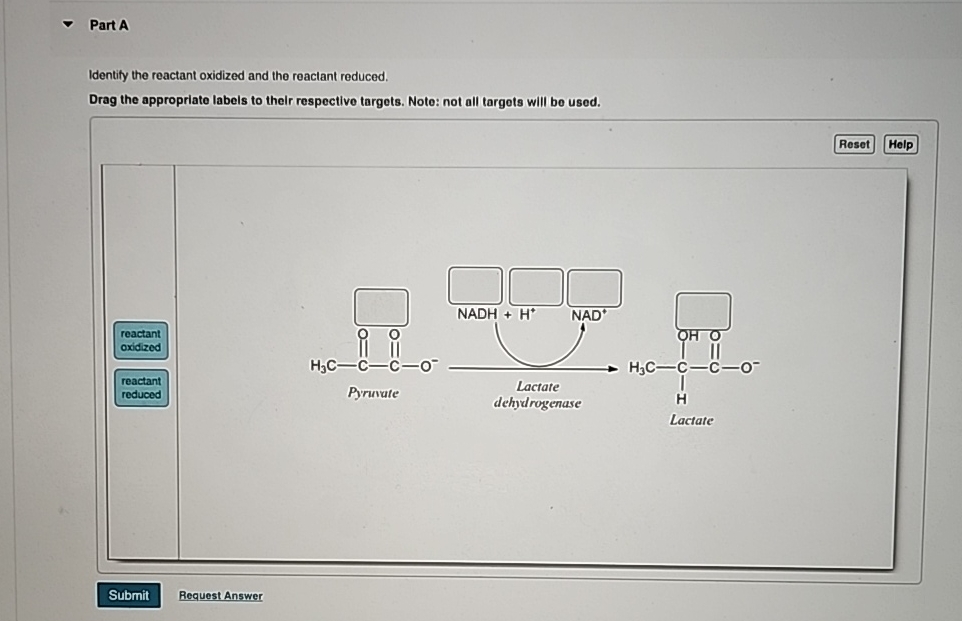 Solved Part AIdentify the reactant oxidized and the reactant | Chegg.com