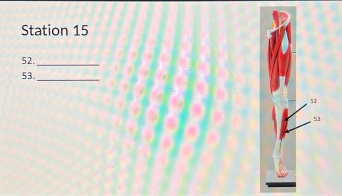 Solved 52. 53. | Chegg.com