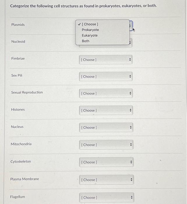 Solved Categorize the following cell structures as found in | Chegg.com