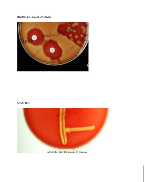 Solved The following are the results after incubation of | Chegg.com