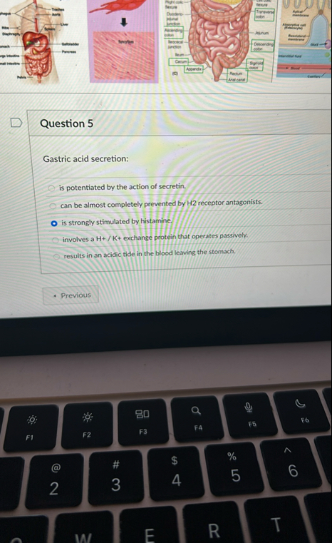 Solved 5mornenQuestion 5Gastric acid secretion: ﻿is | Chegg.com