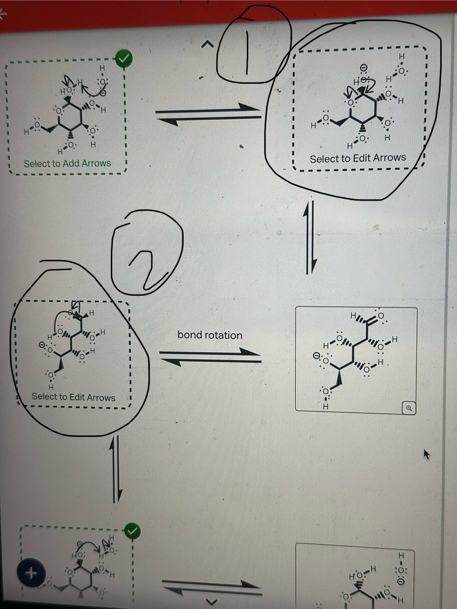 help me do the curved arrow mechanisms for the | Chegg.com