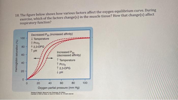 Solved 16. The figure below shows oxygen equilibrium curve. | Chegg.com
