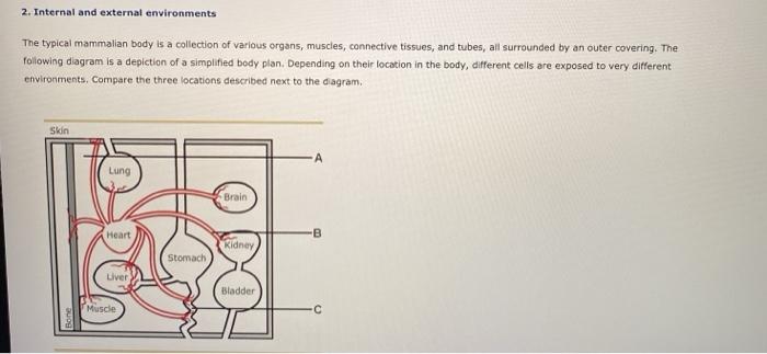 Solved 2. Internal and external environments The typical | Chegg.com