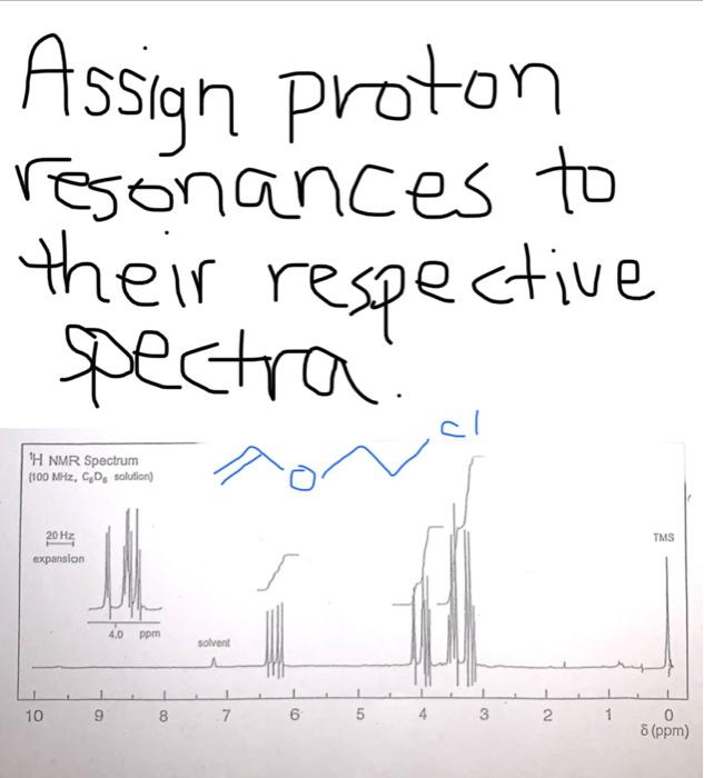 Solved Assign proton resonances to their respective ppectra | Chegg.com