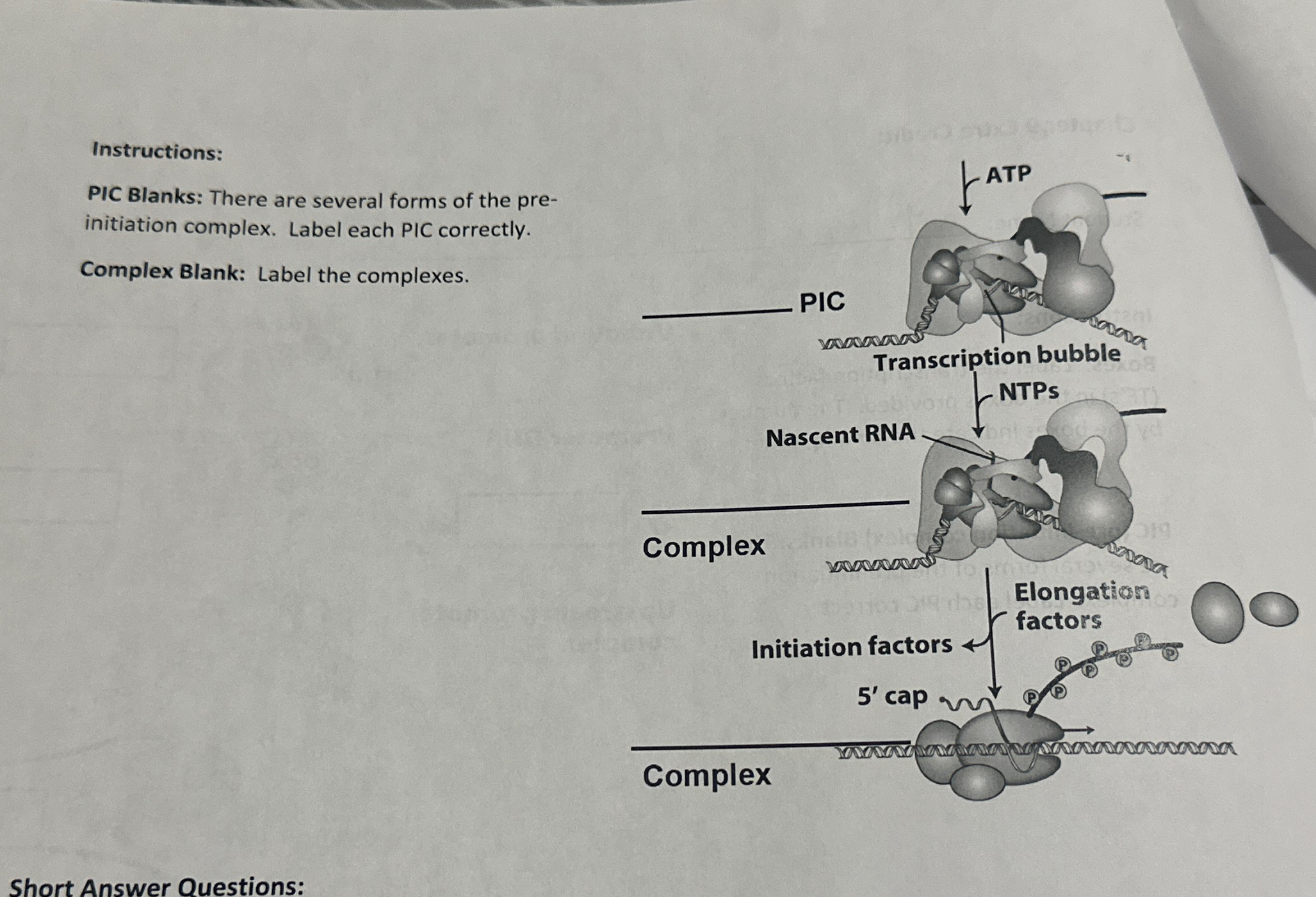 Solved Instructions:PIC Blanks: There are several forms of | Chegg.com
