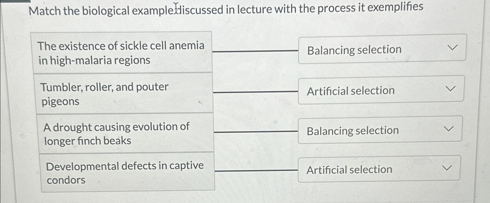 Solved Match the biological examplefdiscussed in lecture | Chegg.com