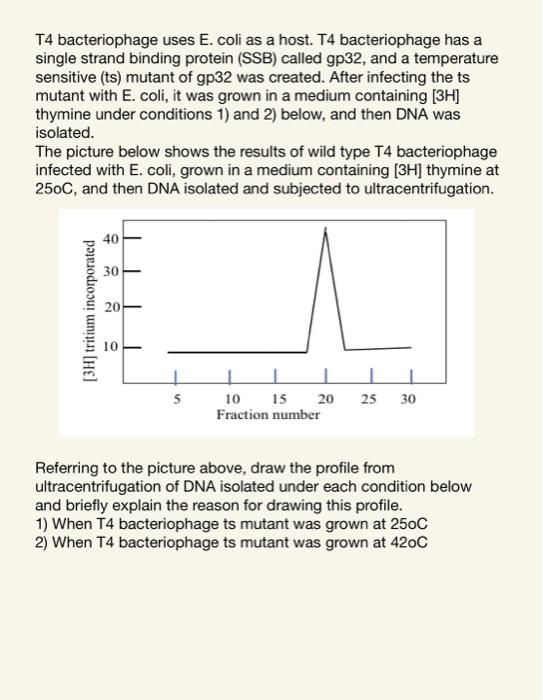 T4 bacteriophage uses E. coli as a host. T4 | Chegg.com