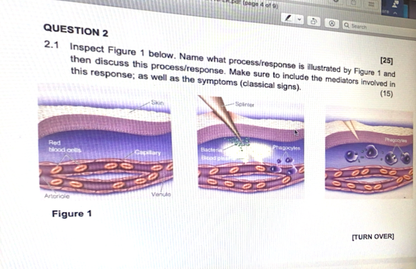 Solved QUESTION 22.1 ﻿Inspect Figure 1 ﻿below. Name what | Chegg.com