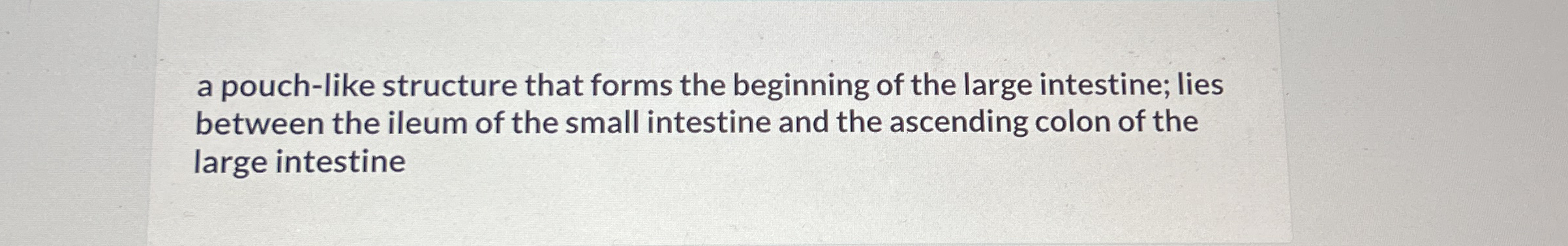 Solved a pouch-like structure that forms the beginning of | Chegg.com