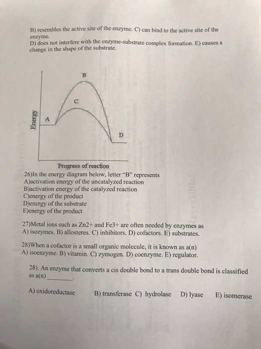 Solved: 1) Sucrase, The Protein That Facilitates The Hydro... | Chegg.com
