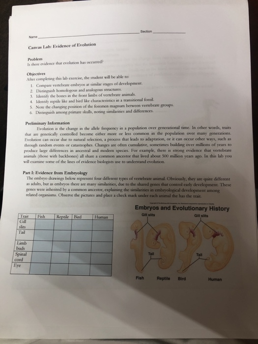 Solved Section Name Canvas Lab: Evidence of Evolution | Chegg.com