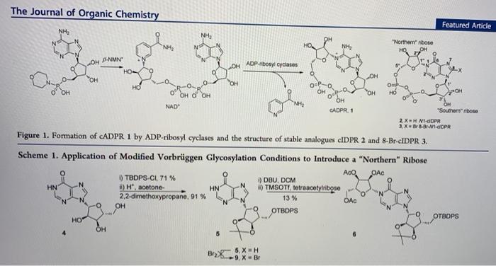 Solved question: A complete hand written synthesis oF the | Chegg.com