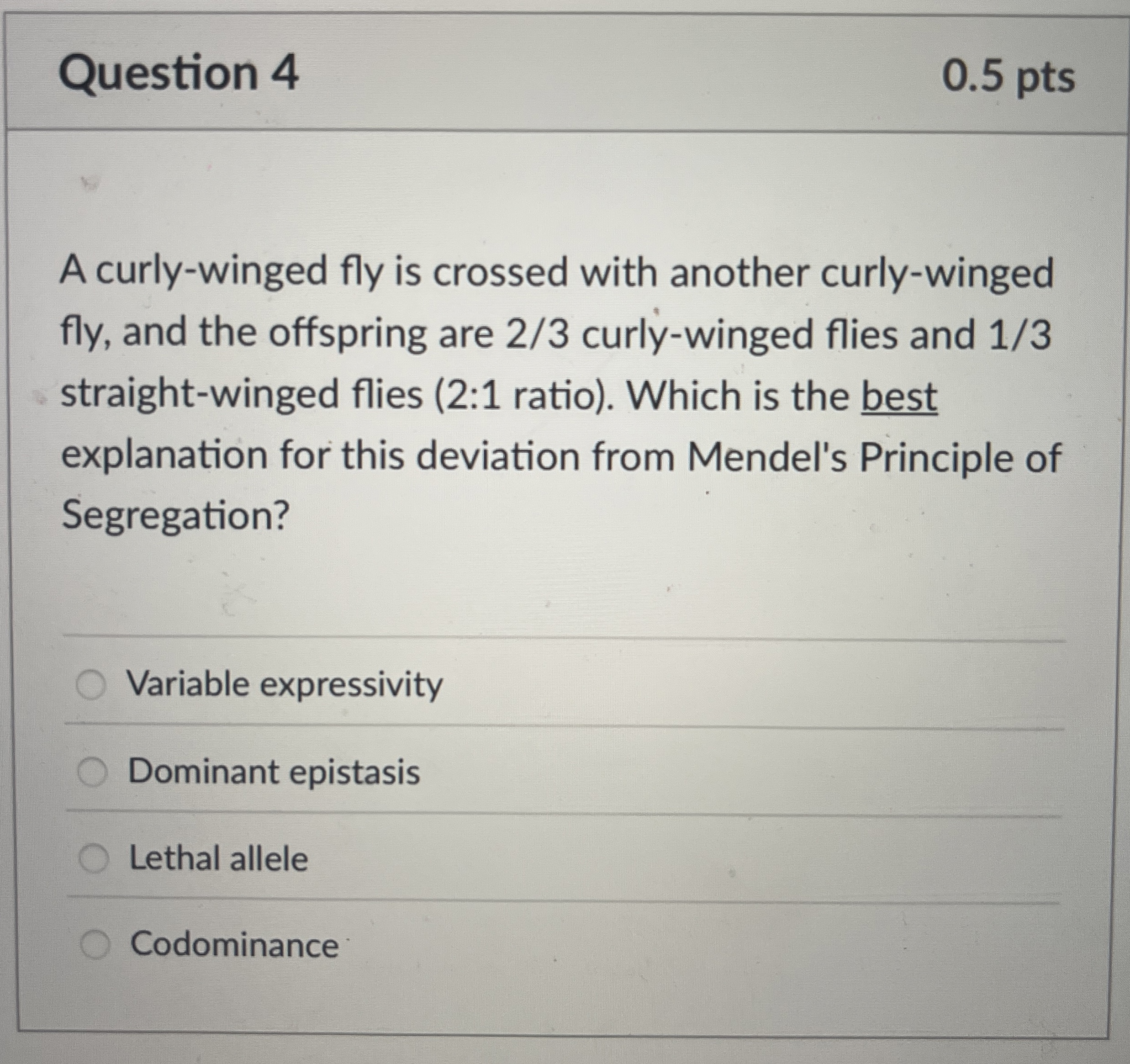 Solved Question 40.5 ﻿ptsA curly-winged fly is crossed with | Chegg.com