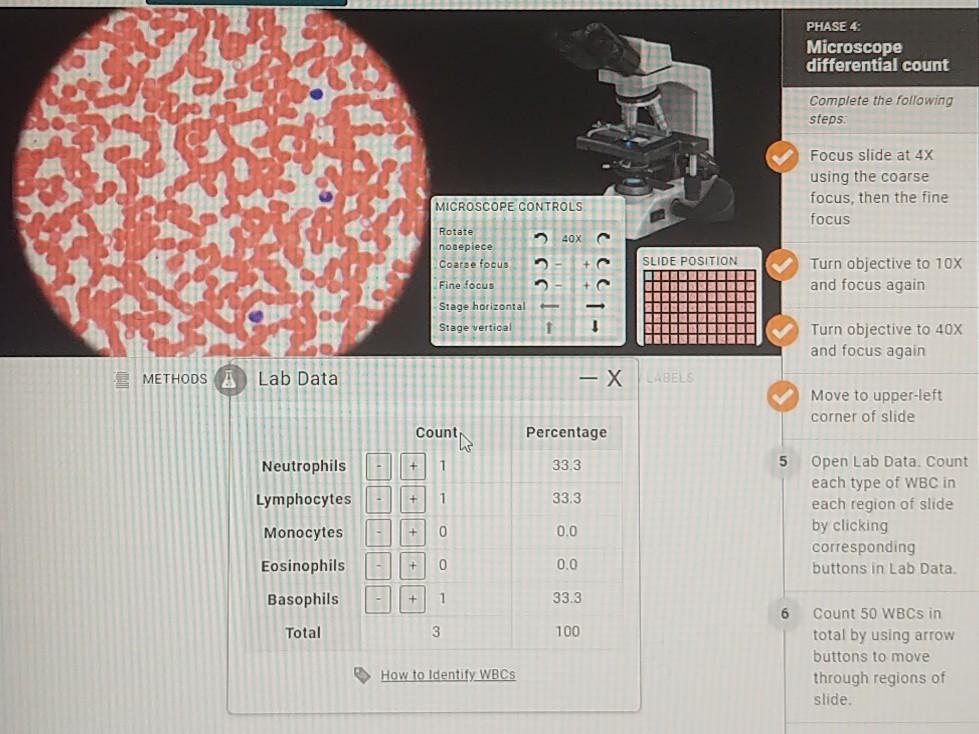Solved 5. Open Lab Data. Count each type of WBC in each | Chegg.com