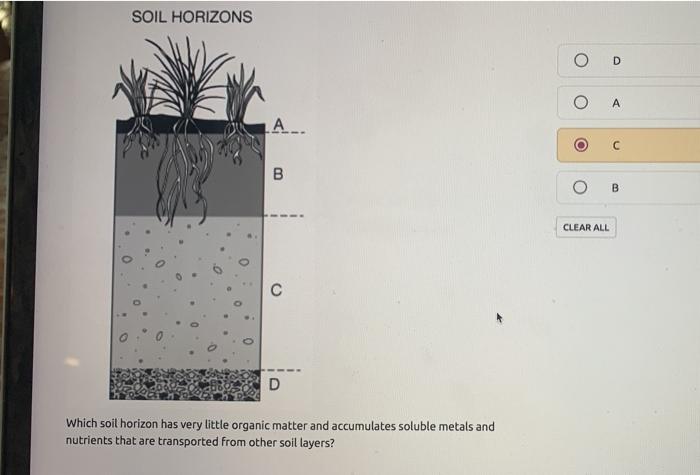 Solved SOIL HORIZONS o D А A... с B B CLEAR ALL D Which soil | Chegg.com