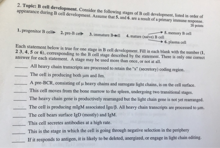 Solved 2. Topic: B cell development. Consider the following | Chegg.com