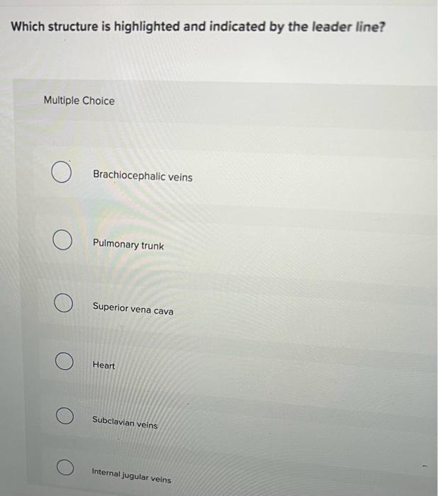 Solved Which structure is highlighted and indicated by the | Chegg.com