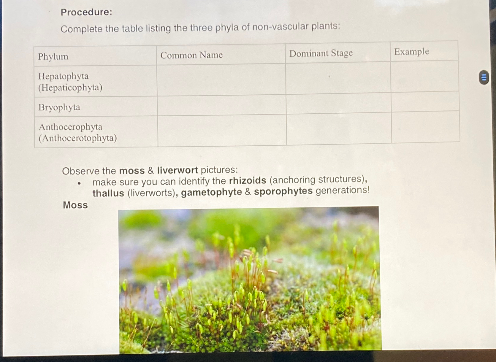 Solved Procedure:Complete the table listing the three phyla | Chegg.com
