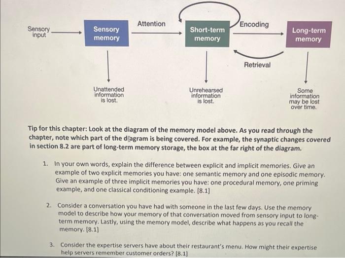 Solved Tip for this chapter: Look at the diagram of the | Chegg.com