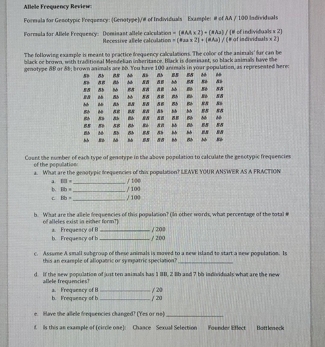 Solved Allele Frequency Review: Formula for Genotypic | Chegg.com