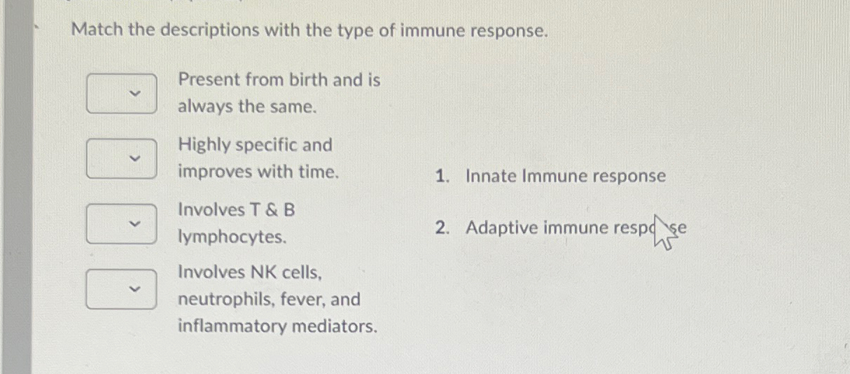 Solved Match the descriptions with the type of immune | Chegg.com