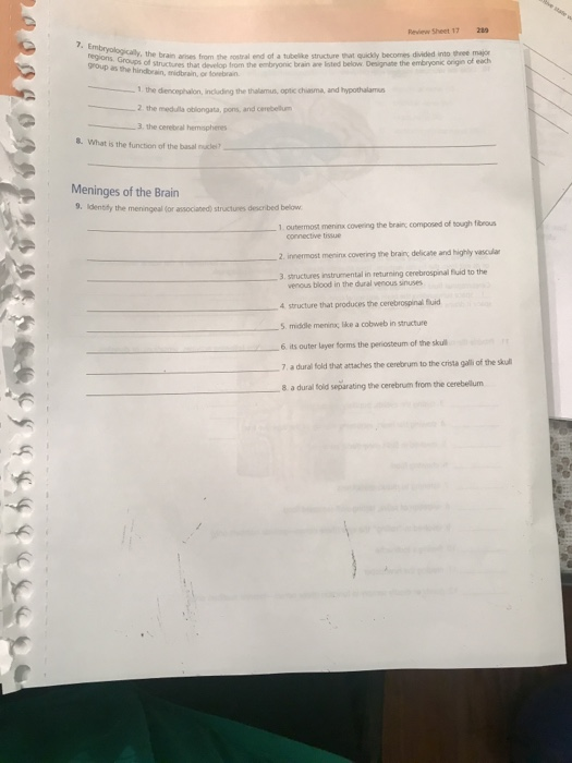 Solved Review Sheet 17 209 7. Embryologically the brain | Chegg.com