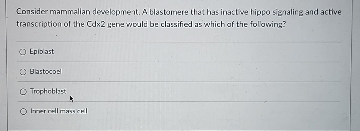 Solved Consider mammalian development. A blastomere that has | Chegg.com