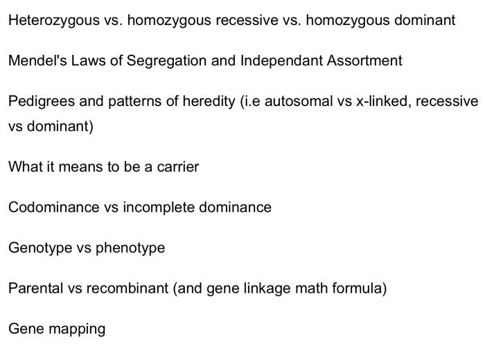 Heterozygous vs. homozygous recessive vs. homozygous | Chegg.com